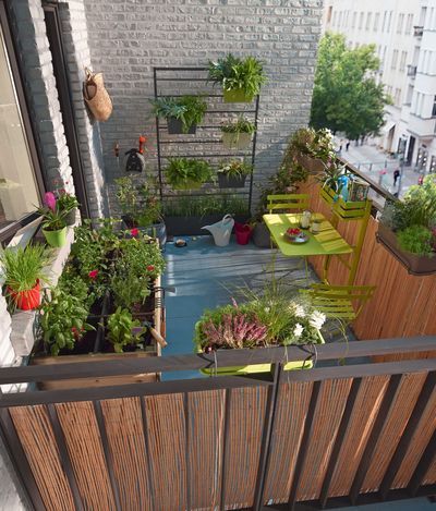 Comment créer un potager sur son balcon ? - Blog Potager